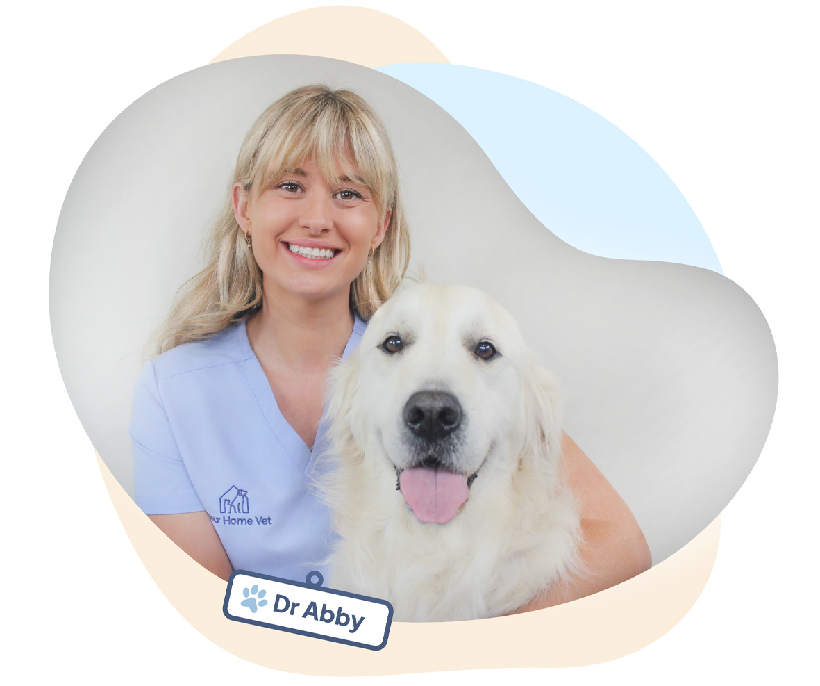 About Us - Your Home Vet